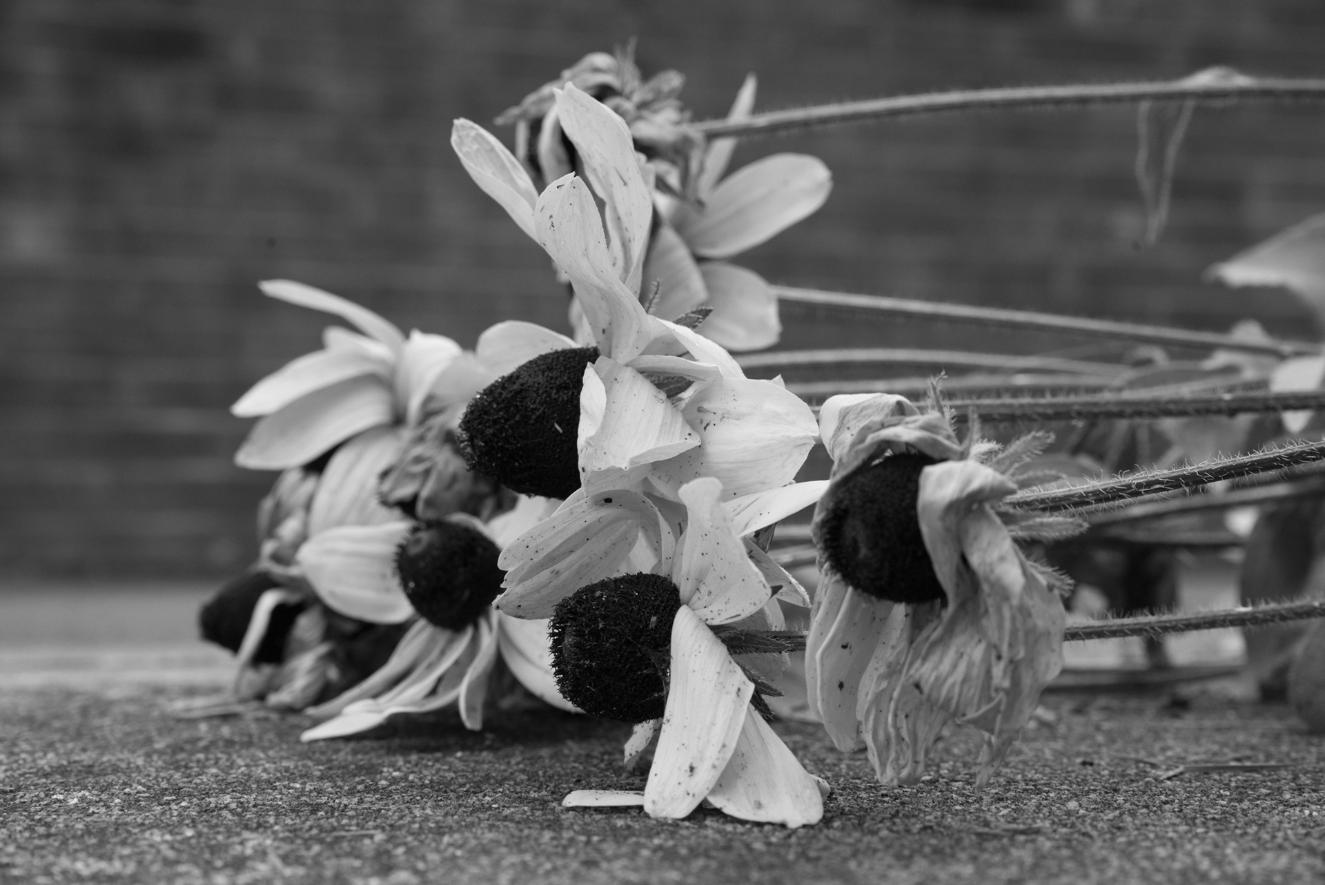 James Crissman Photography - Us Highway 70