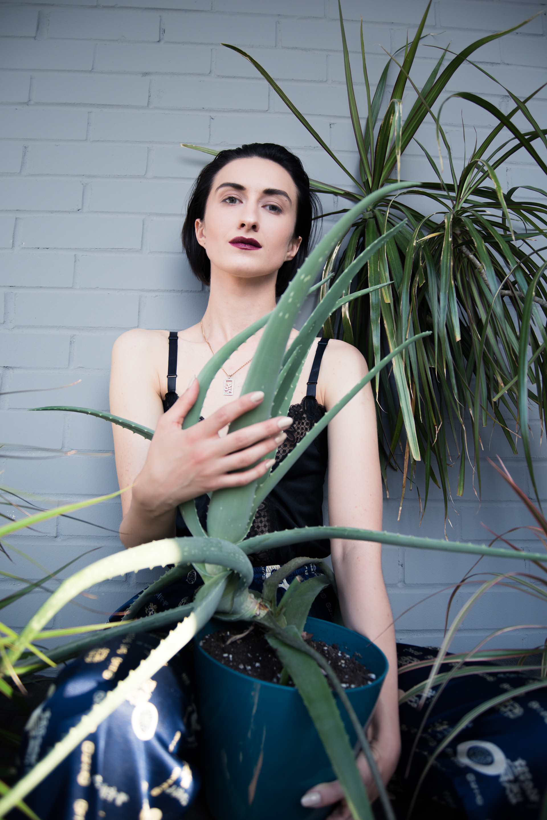 Elliott Tilleczek - Olga