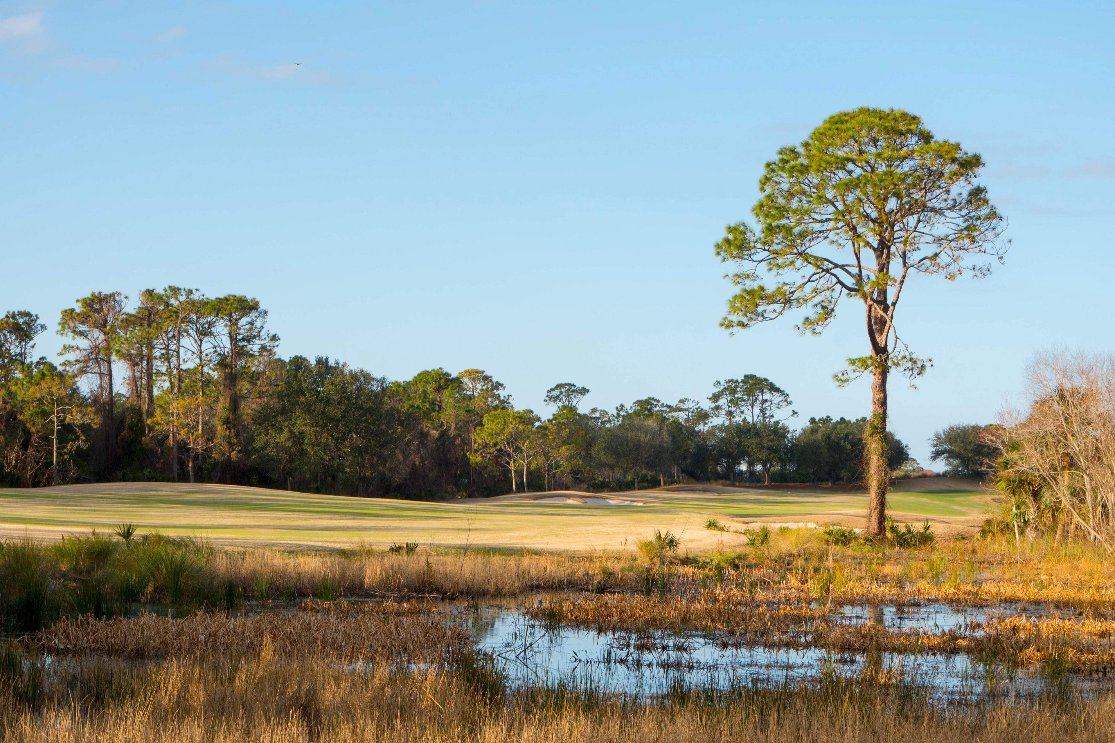 Robert Carlsen - Grand Haven Golf Course