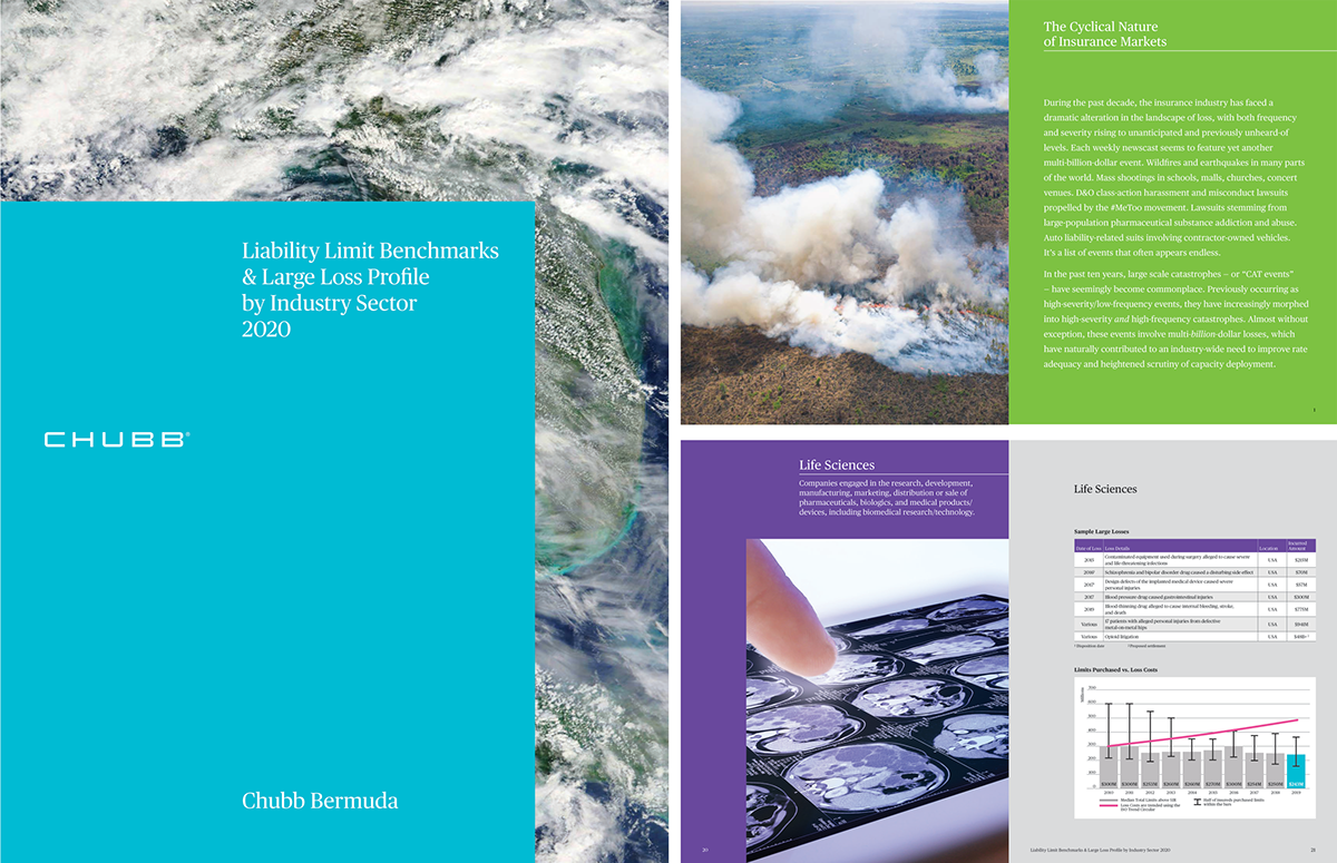 Judy Elchin - Chubb Bermuda Benchmark 2020 Annual Report and Video