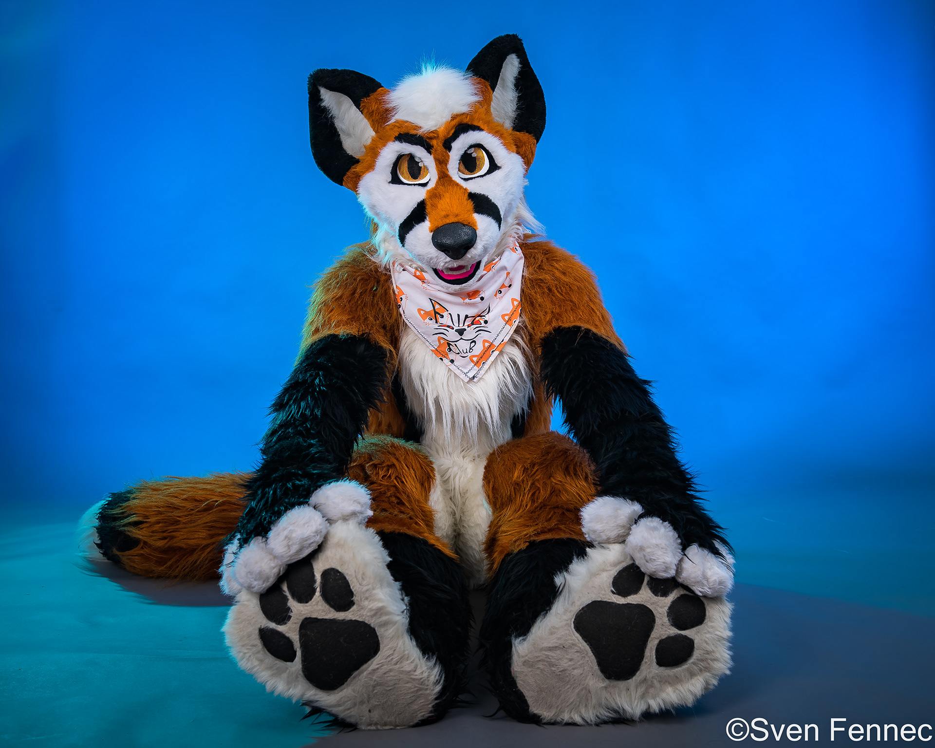 Sven Fennec Photography - 2018-2020 Studio Fursuit Portraits