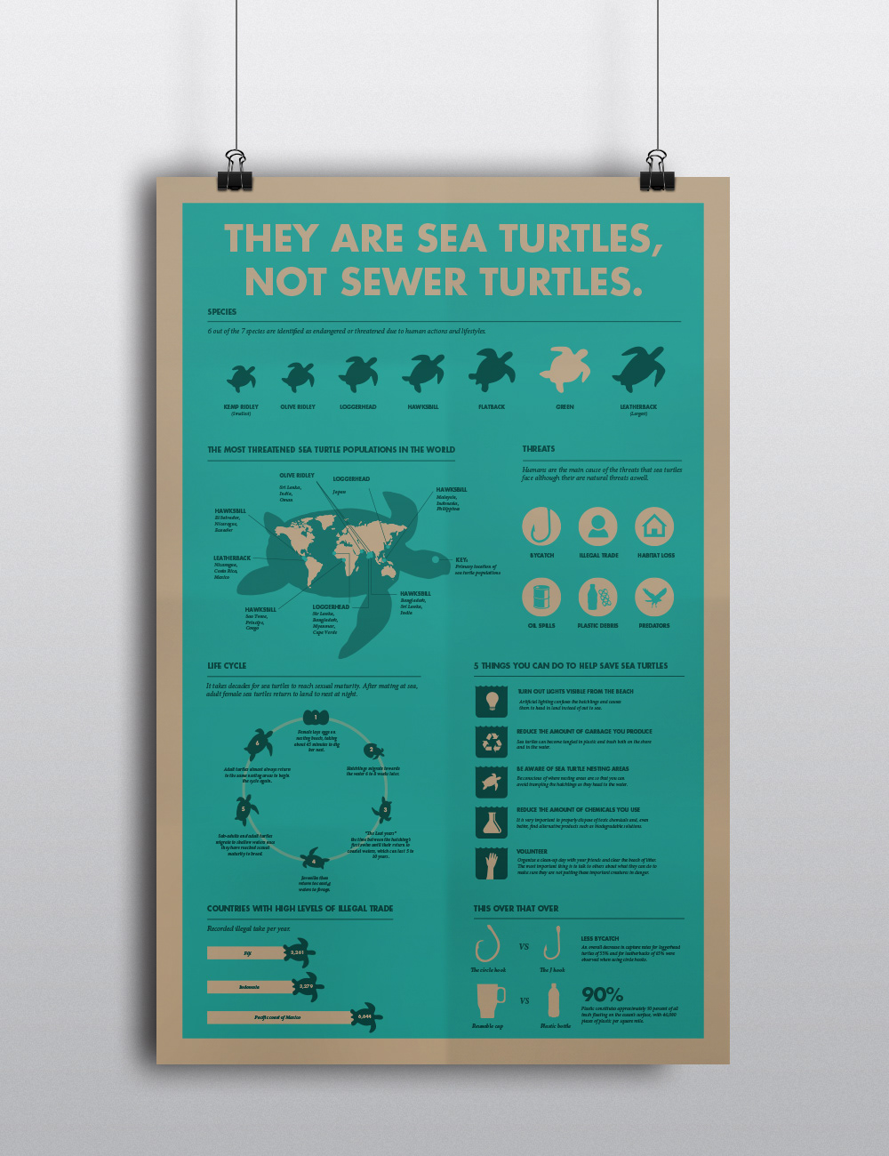 Samantha Kniat - Sea Turtle Infographic