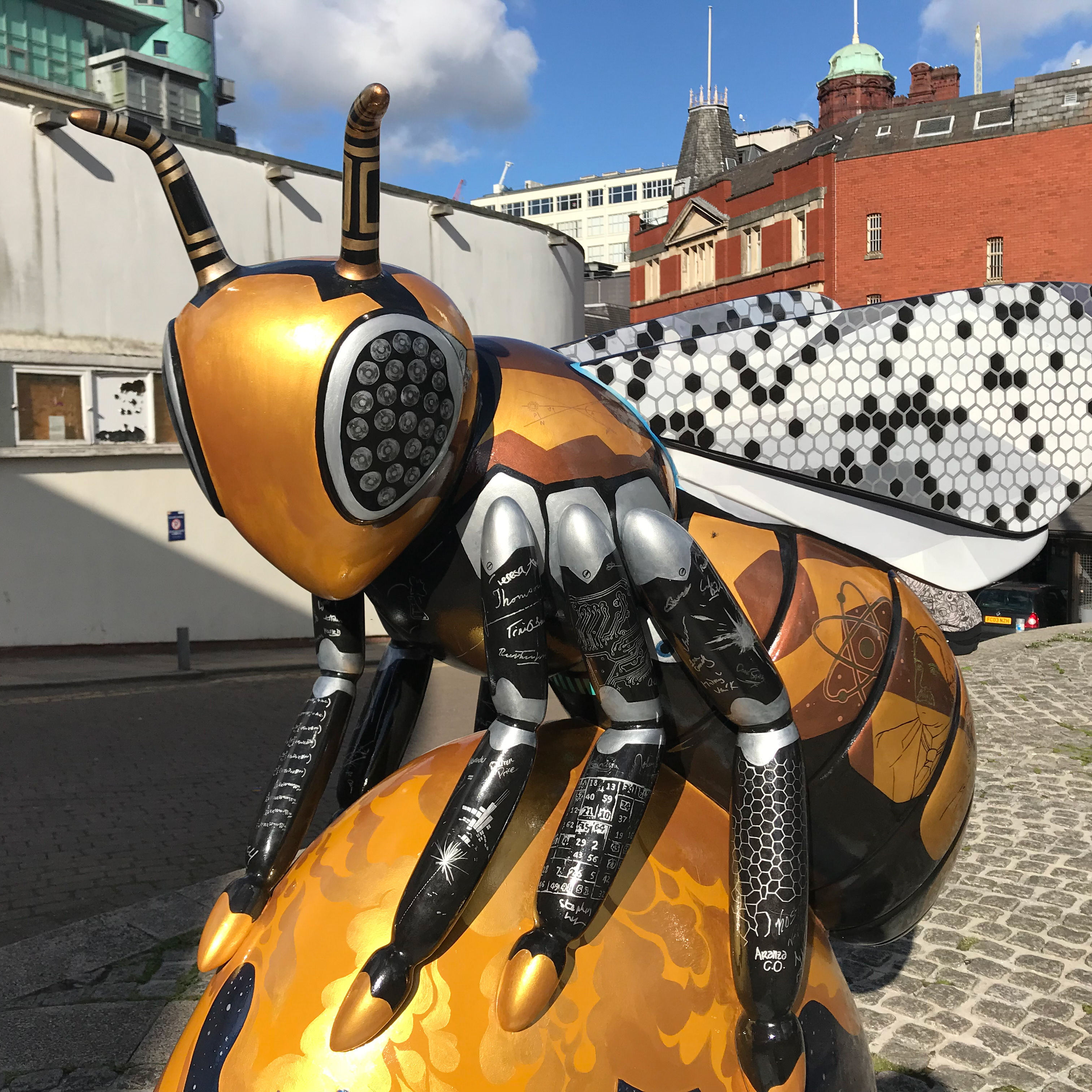 Kelly Stanford - Science Communicator and Artist - STEM Bee