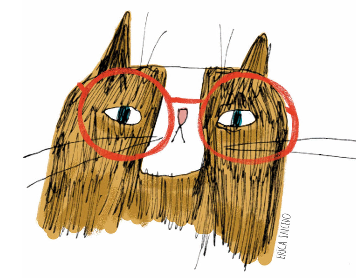 Erica Salcedo Illustration