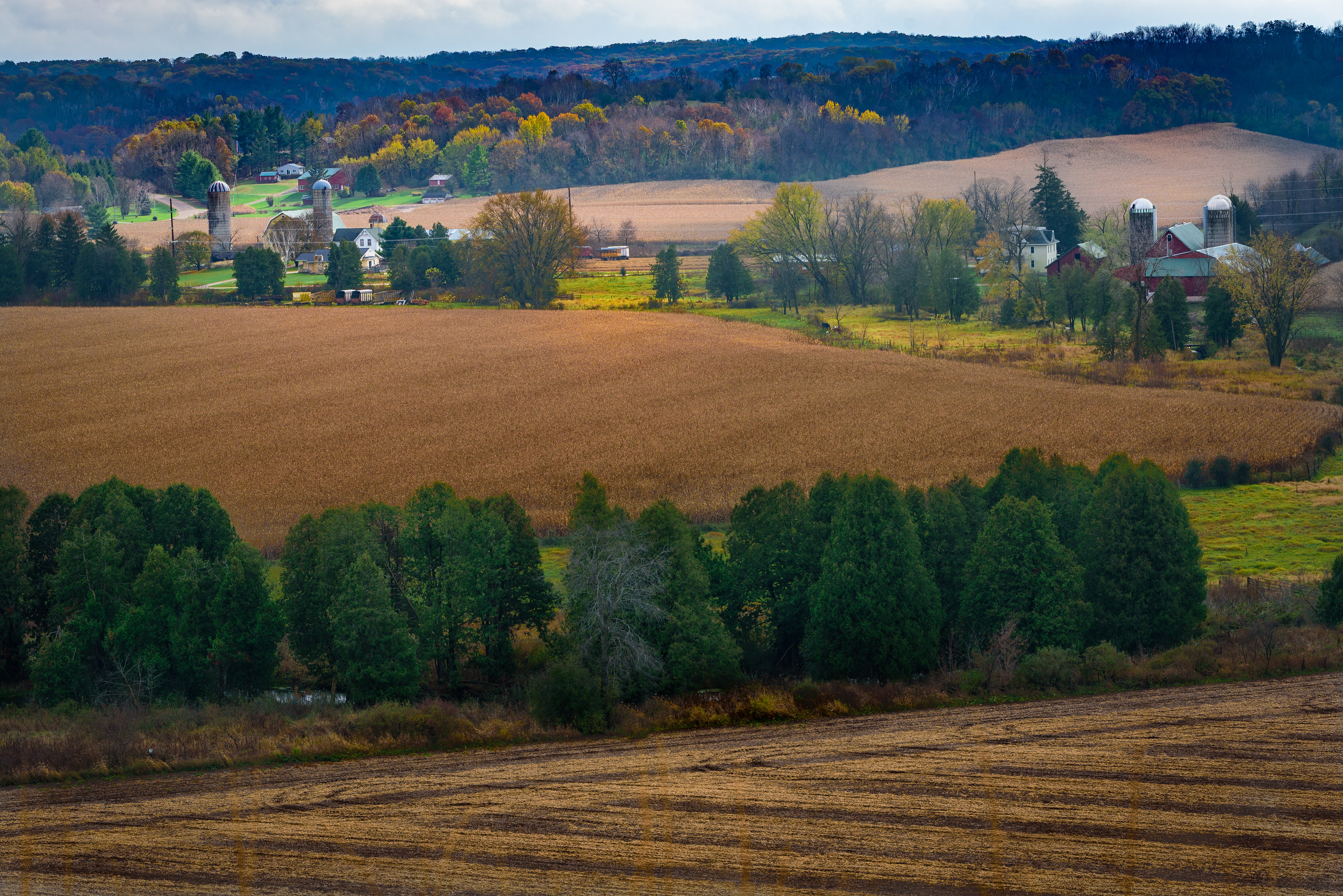 Cynthia Carlson Photography - Landscapes and Cityscapes