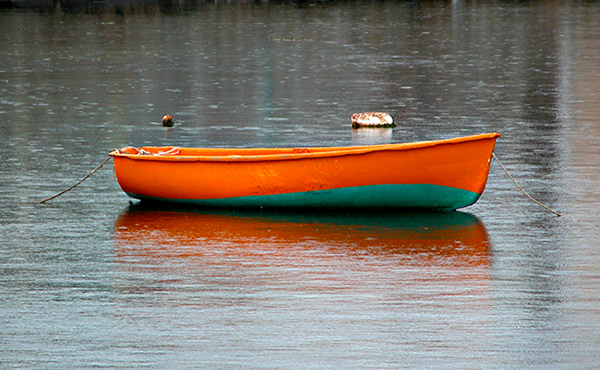 Laura Savidge - New England – Cape Ann and Cape Cod