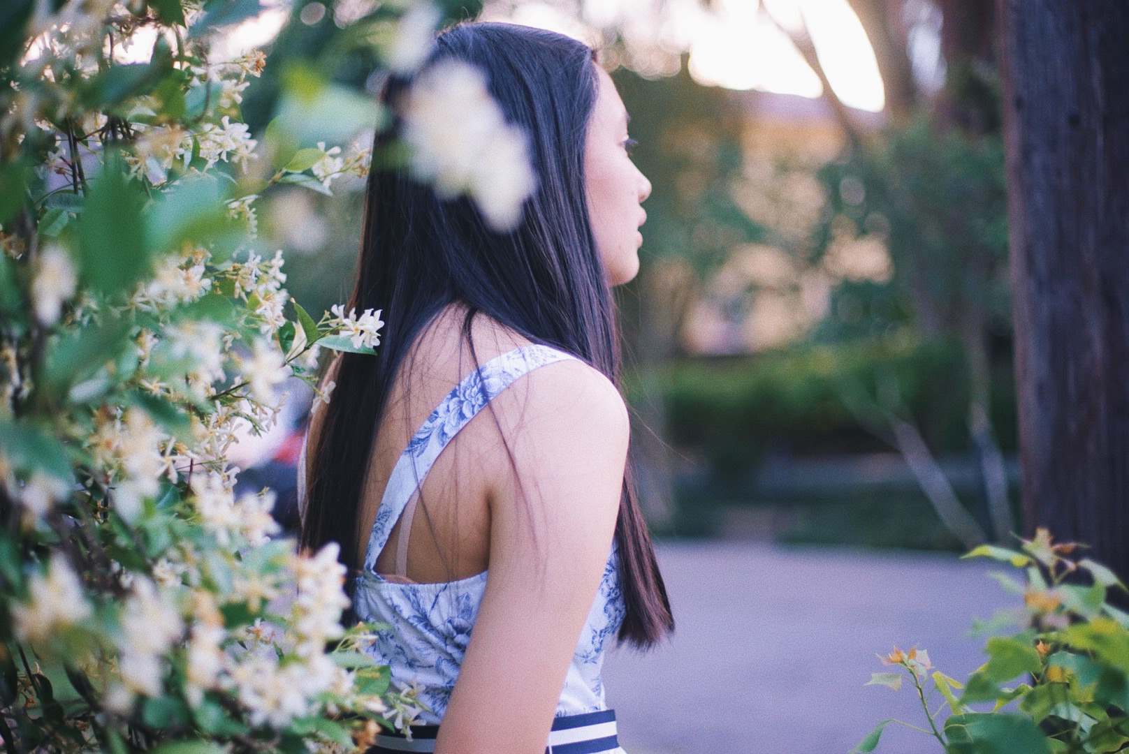 Angel Vu Jackie
