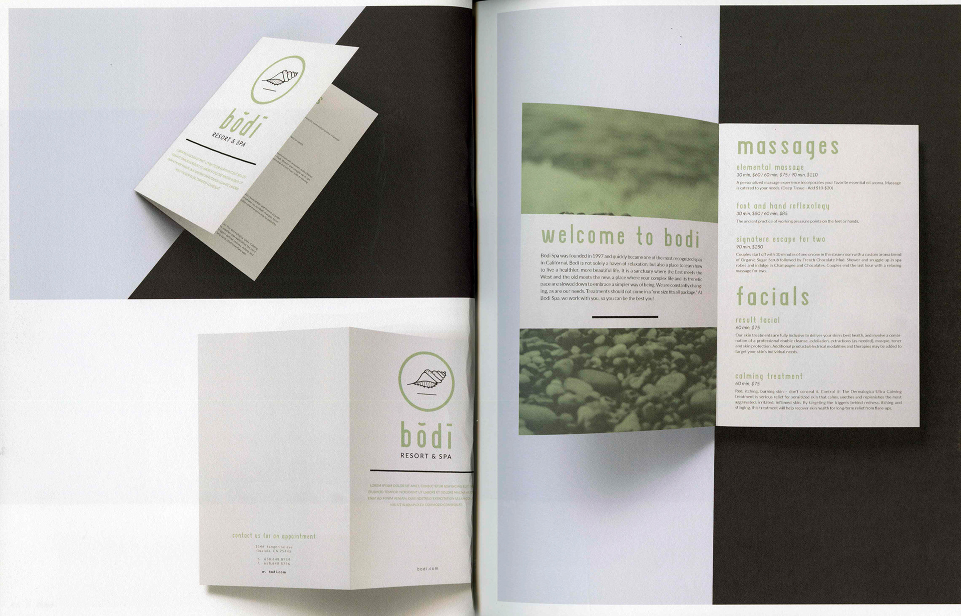 Valencia Graphic & Interactive Design Portfolios - Alex Chiles