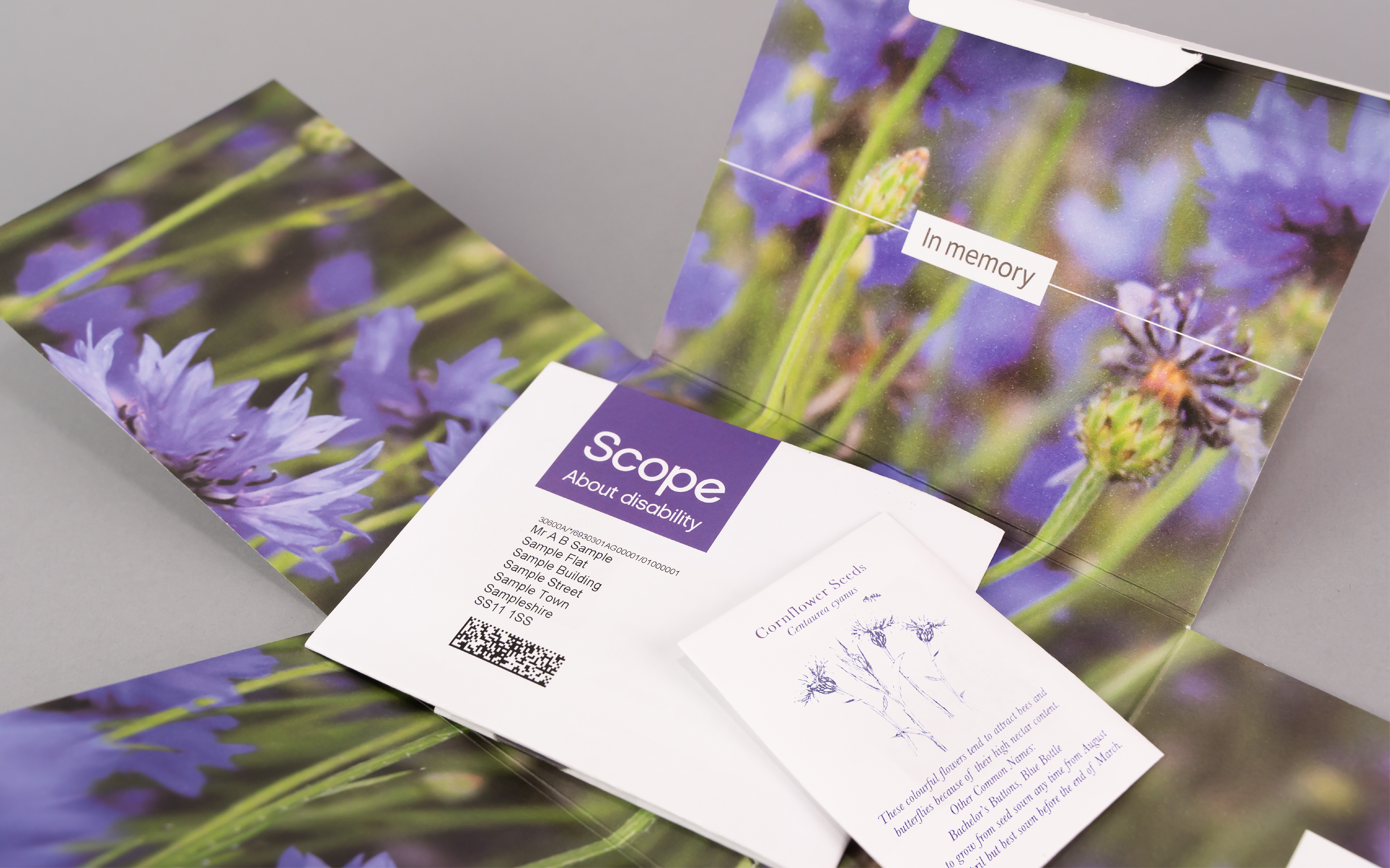 David Hibberd - Fundraising mailshots