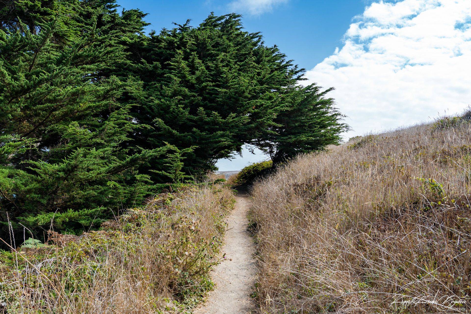Kranthi Kiran Boyina - Point Reyes NP - California-US