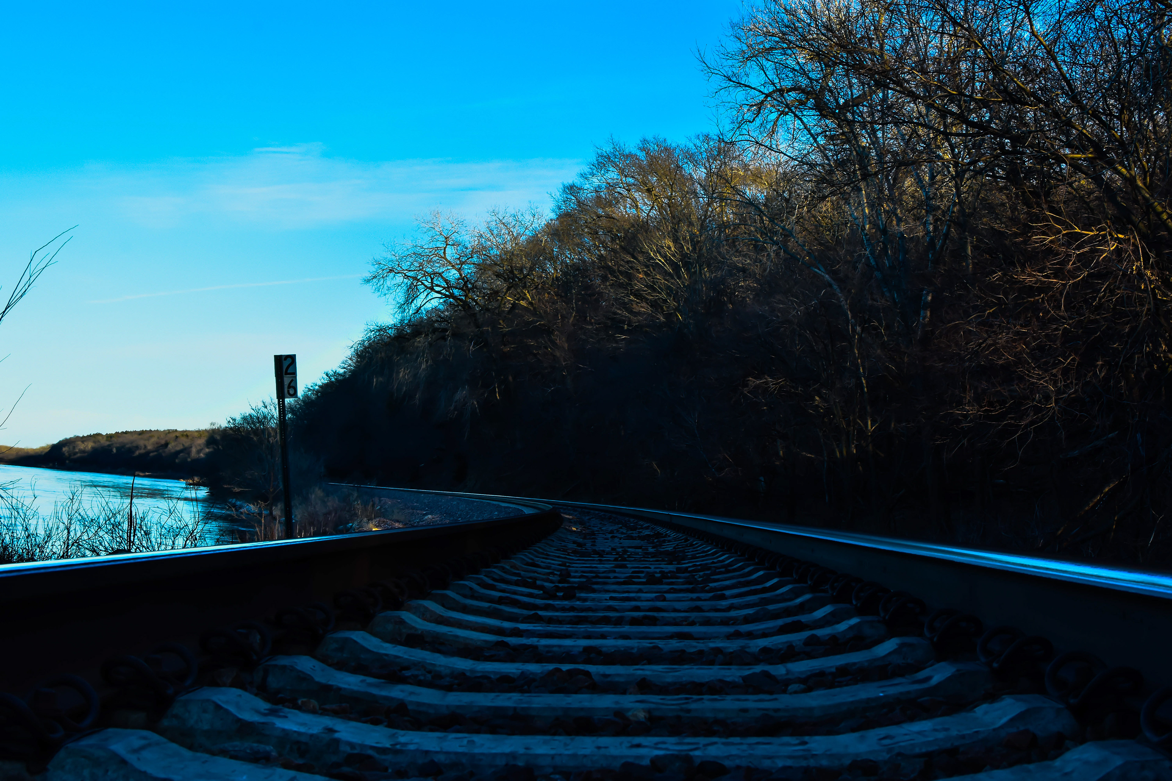 Avery Cook - Environment