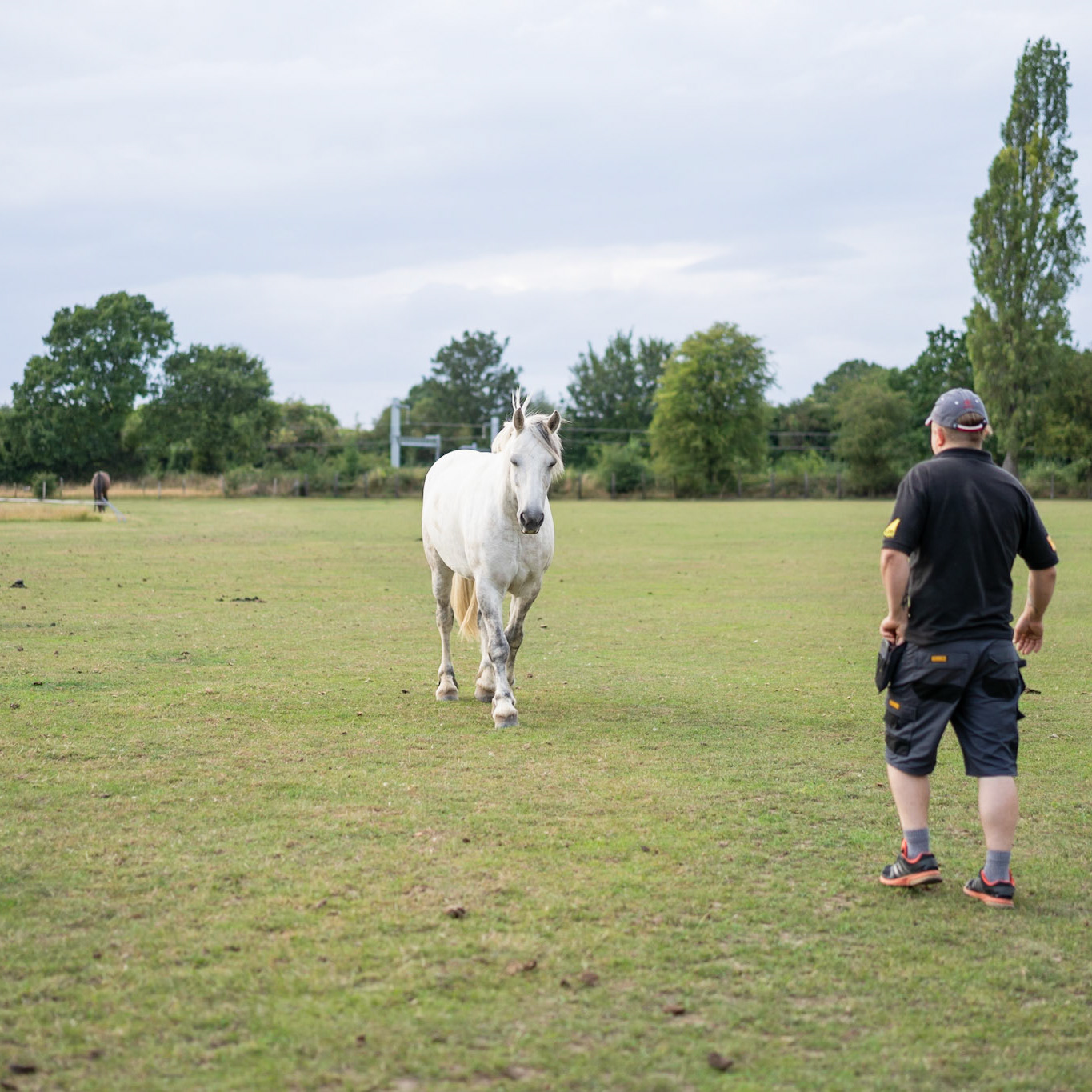 Tim Davis - Commercial Work