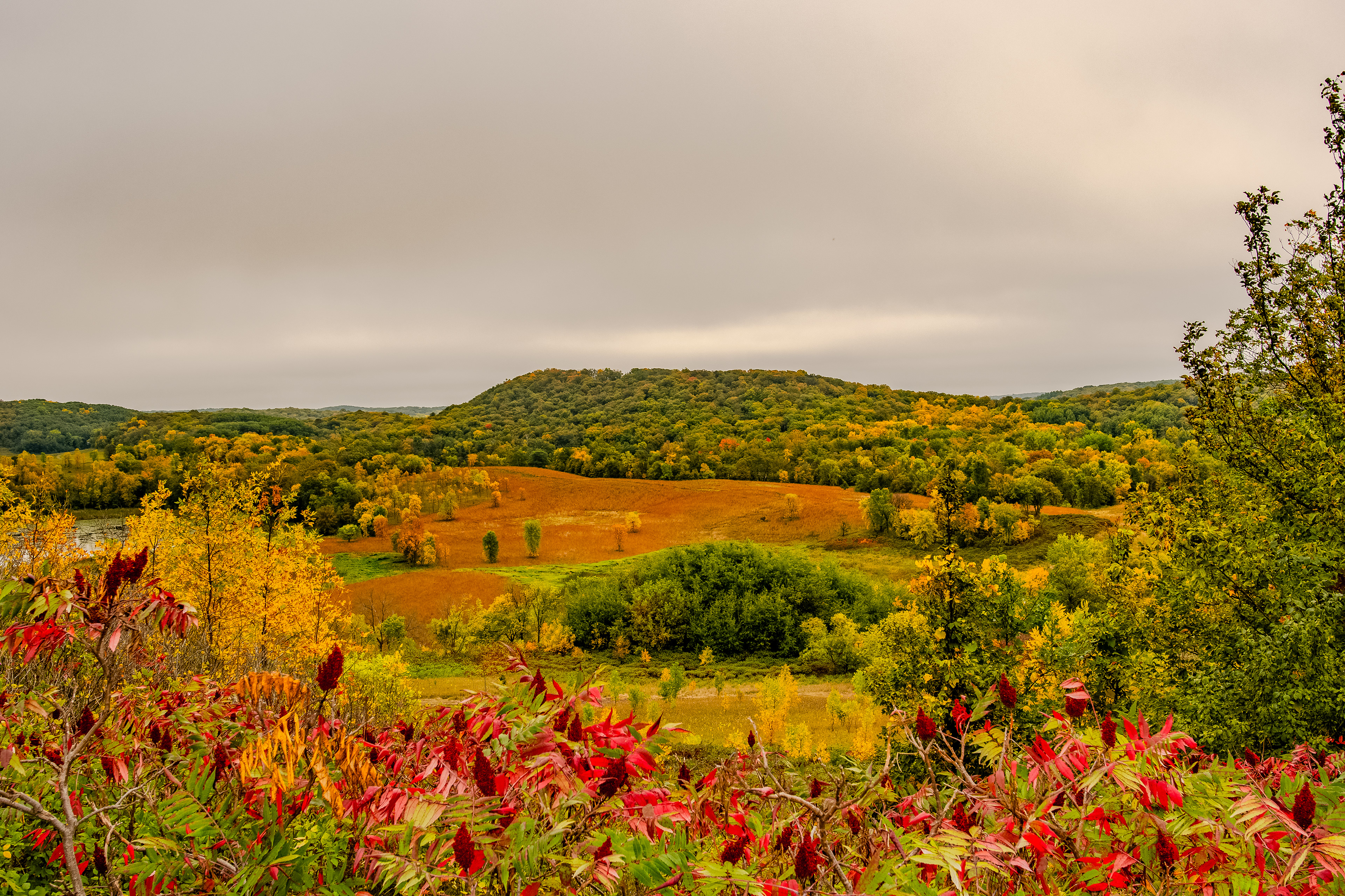 Ryan Westerberg - Life on the Plains