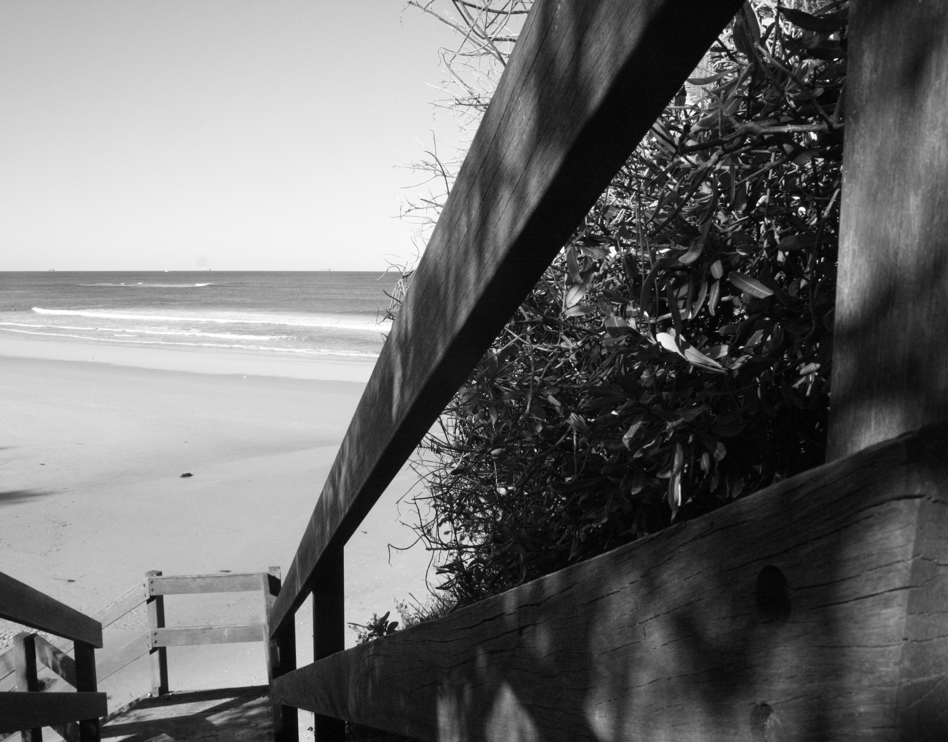 Tayla Smith Graphic Designer Portfolio - PHOTOGRAPHY