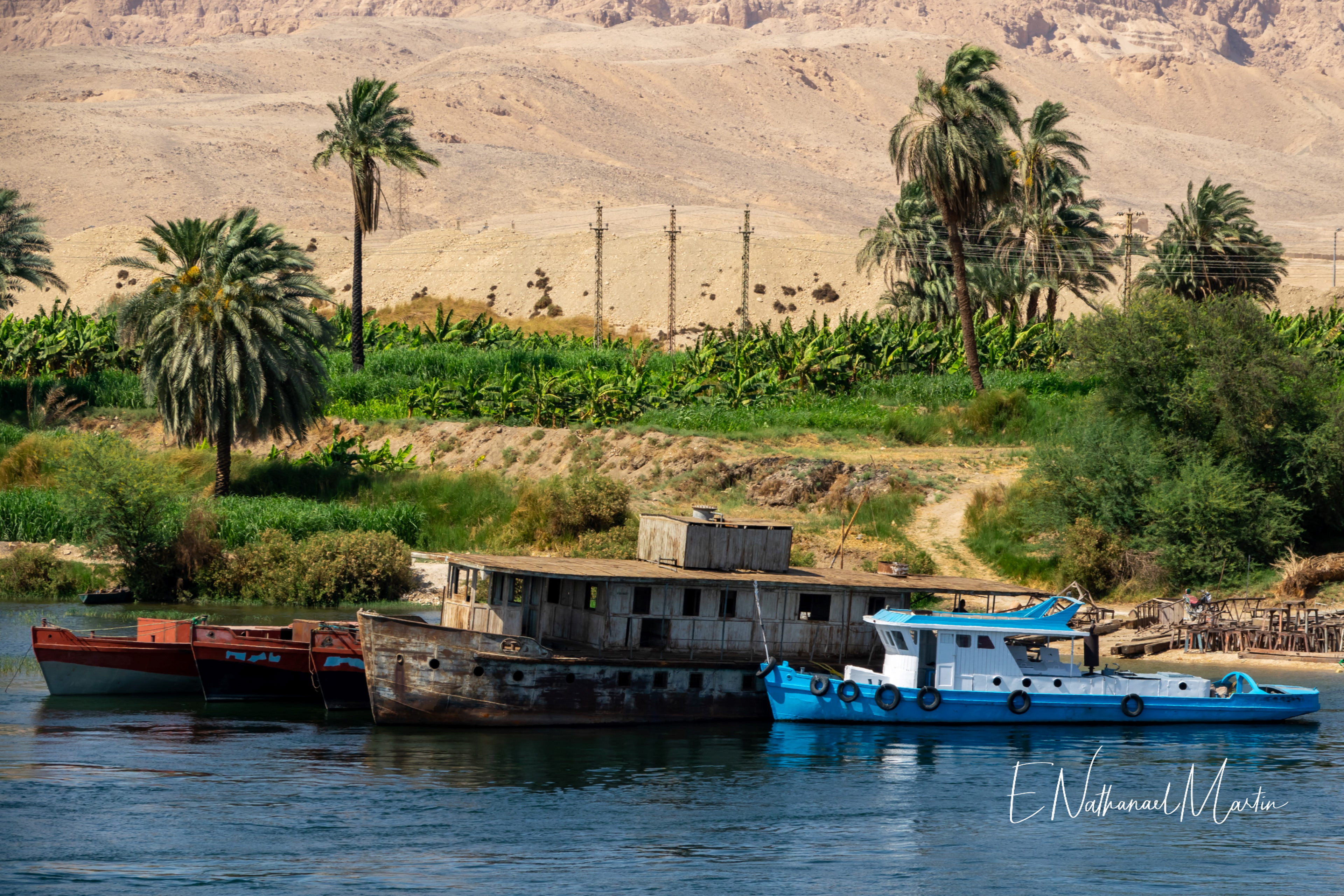 Nature by Nat Photography - Egypt