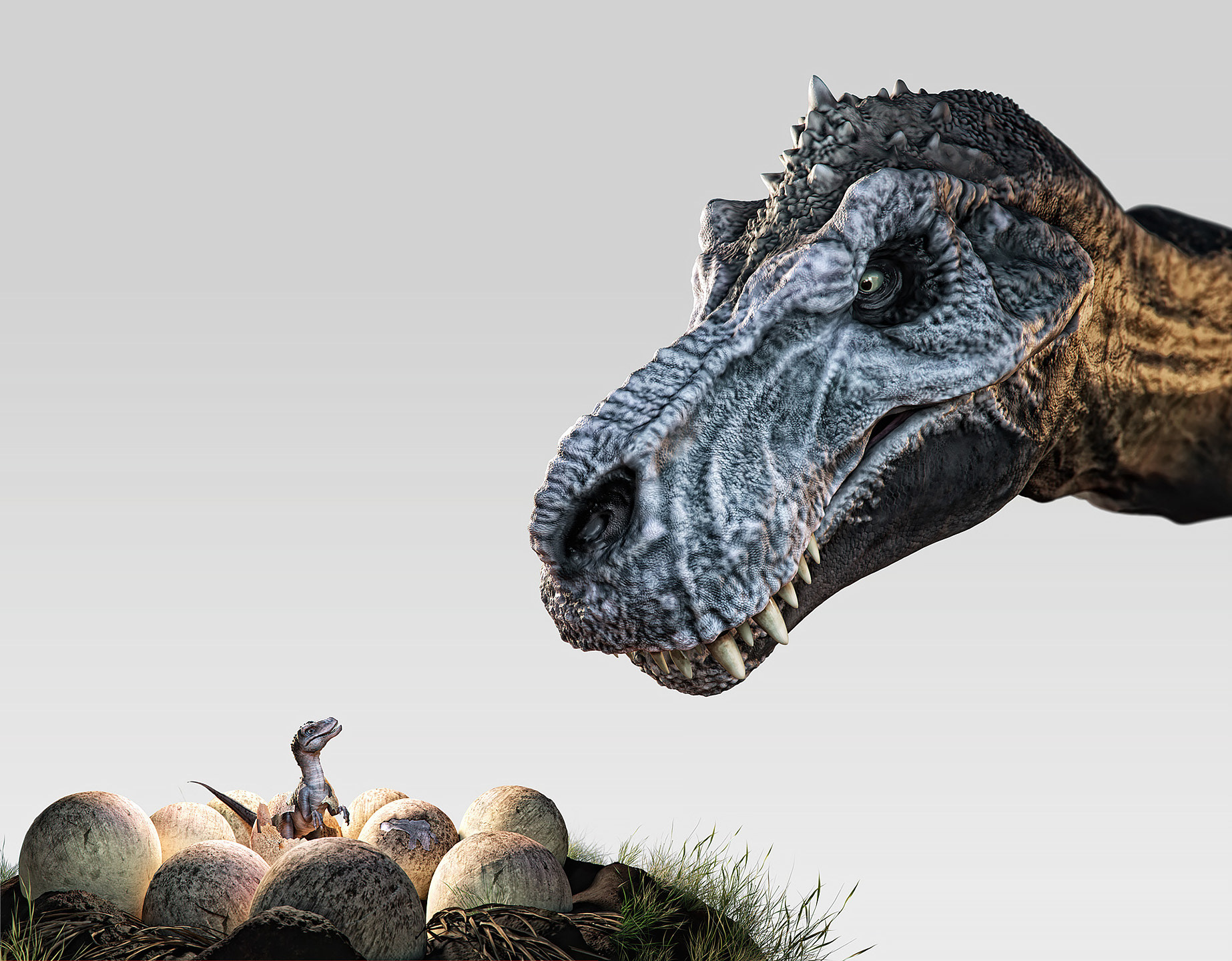 Marc Rochon - My Professional Work