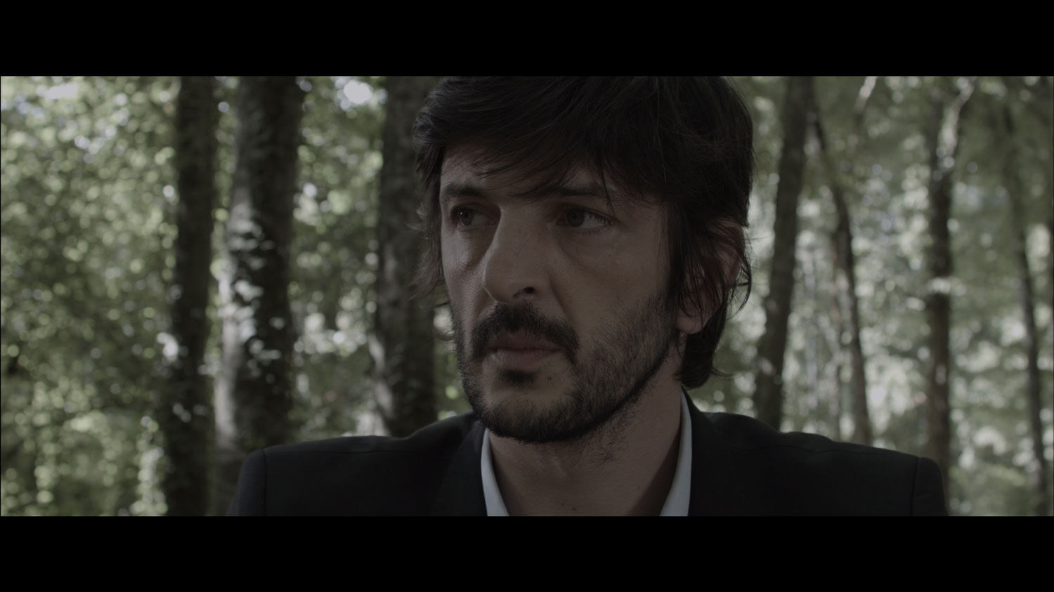 Cecil & Max - BURNOUT