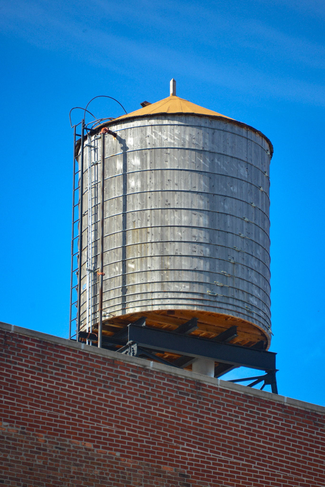 Beatrice Augier - New York Fireescapes