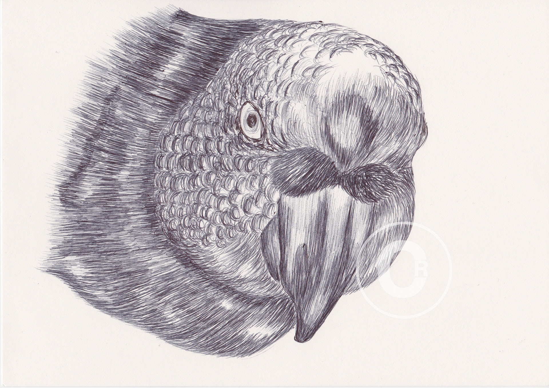 Yoko Yamamoto - Ballpoint Pen Birds