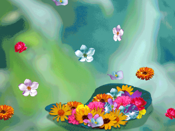 Carmen Leidel - GIF: falling flower petals