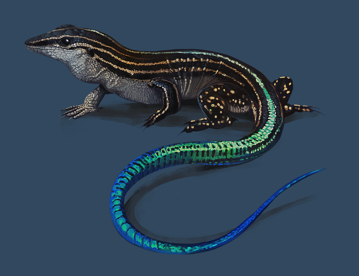 Ivy Gladstone - Ground Lizard