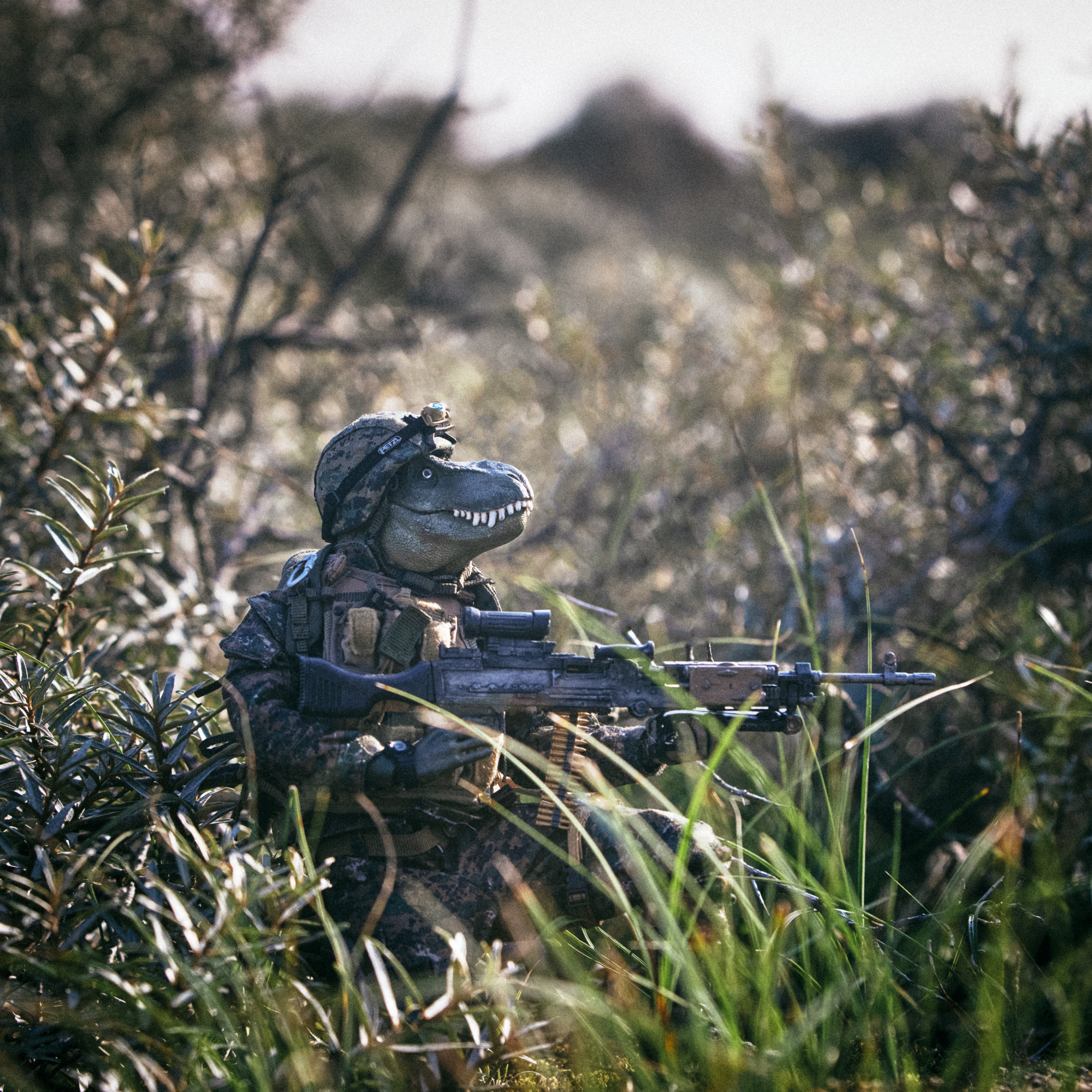 Lizard Force - General-purpose machine gun