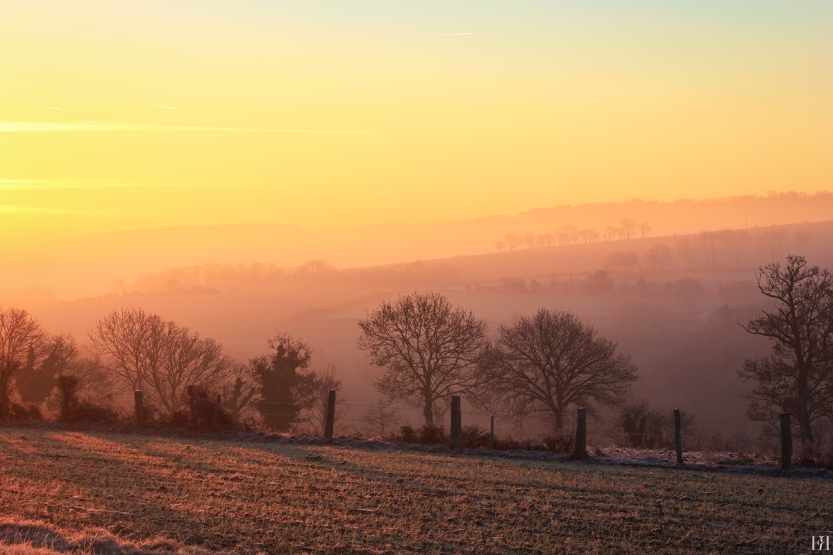 Florent Renaut - Impression Métaphorique / Metaphorical Impression