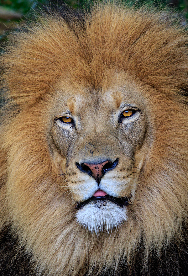 Jeff Donald photography - About