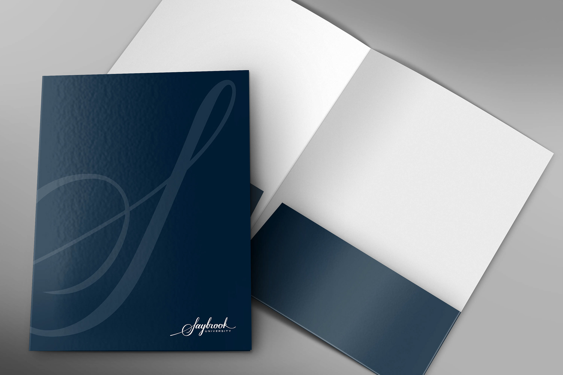 Michael Curiel - Saybrook University Executive Press Kit