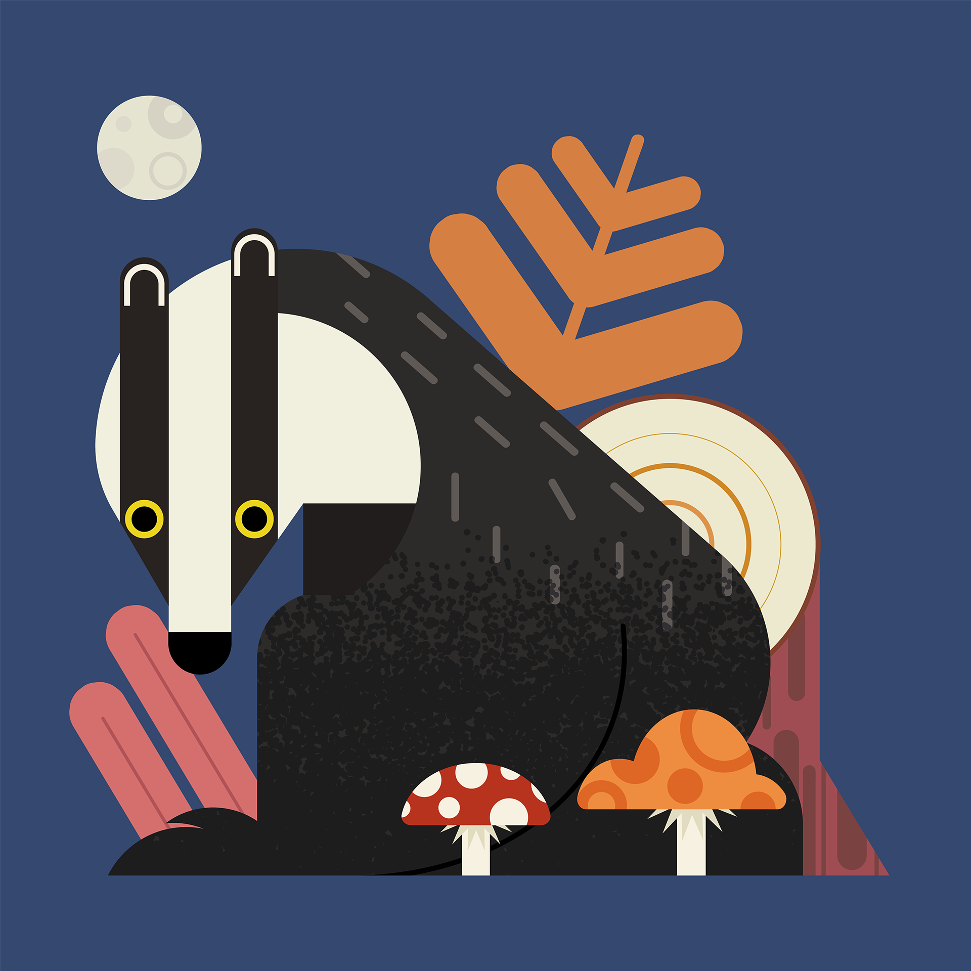 George Tonks - British Wildlife