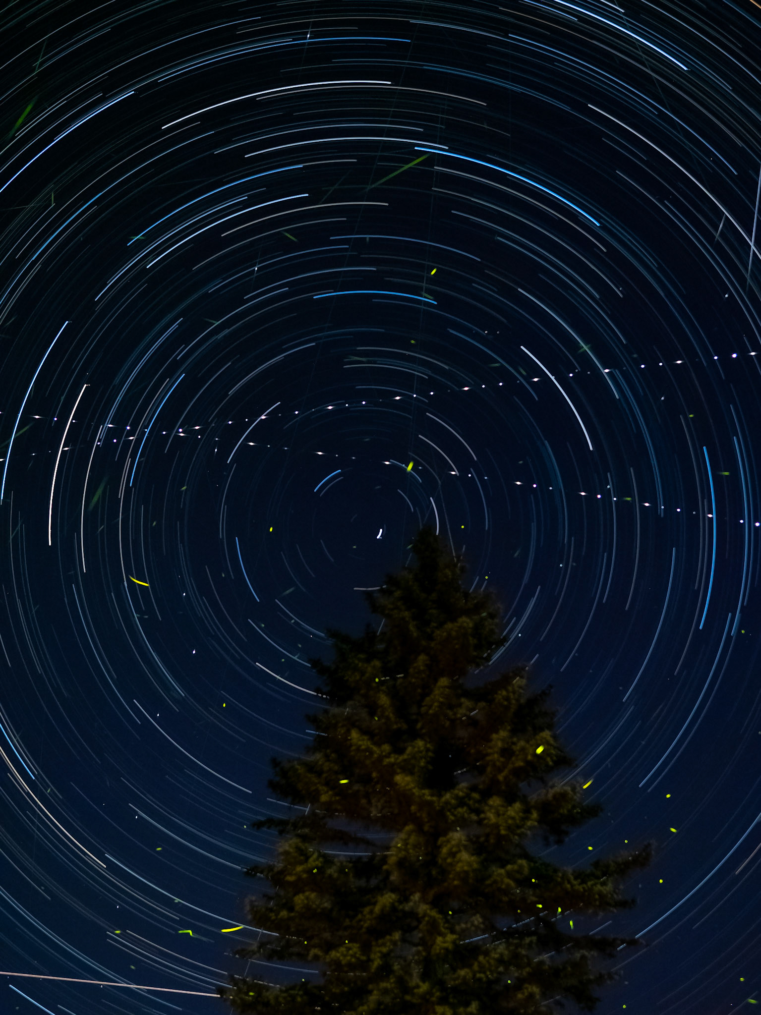 Star Trails and Fireflies | Fox Lake | Summer Nights : r/illinois