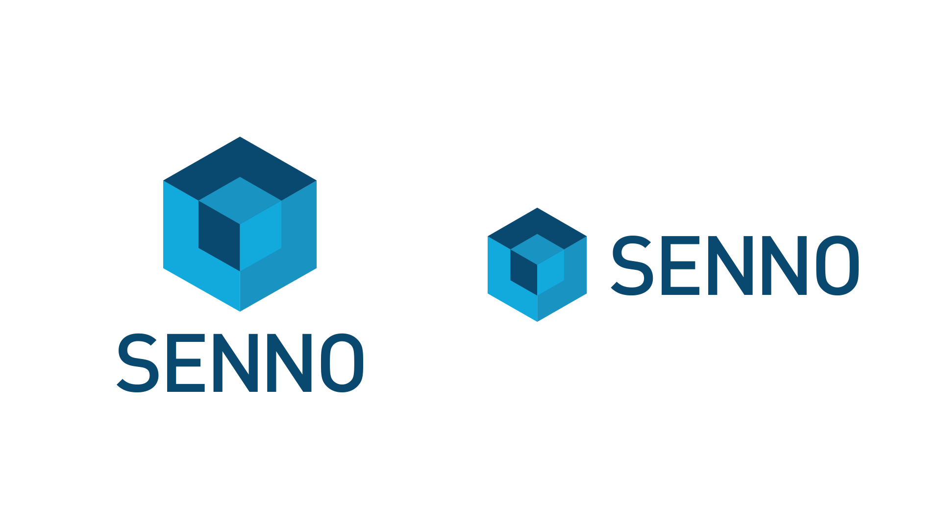 Eduardo Bellotto - Senno