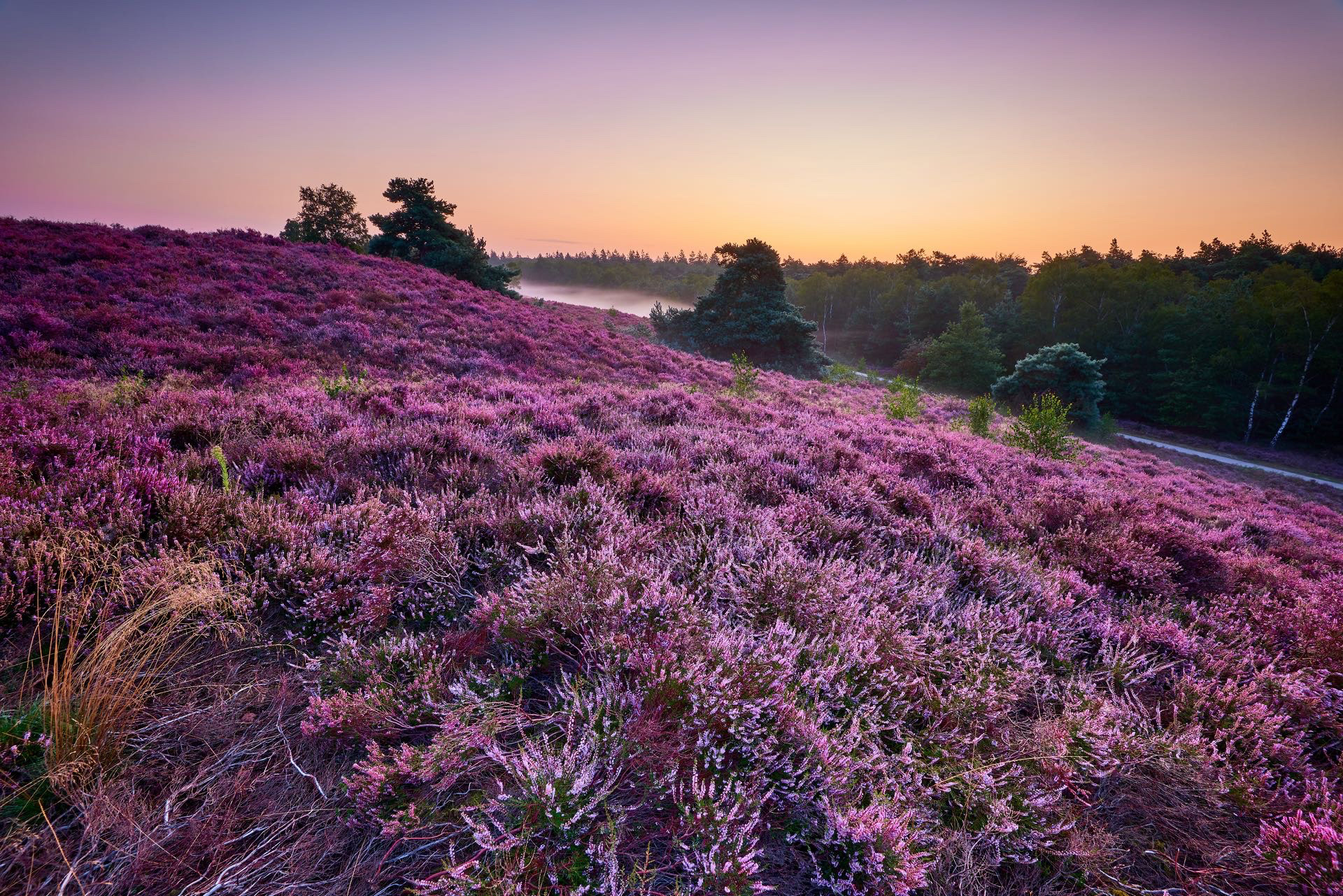 NETHERLANDSCAPES | Danny Tax Creative | Landschapsfotografie ...