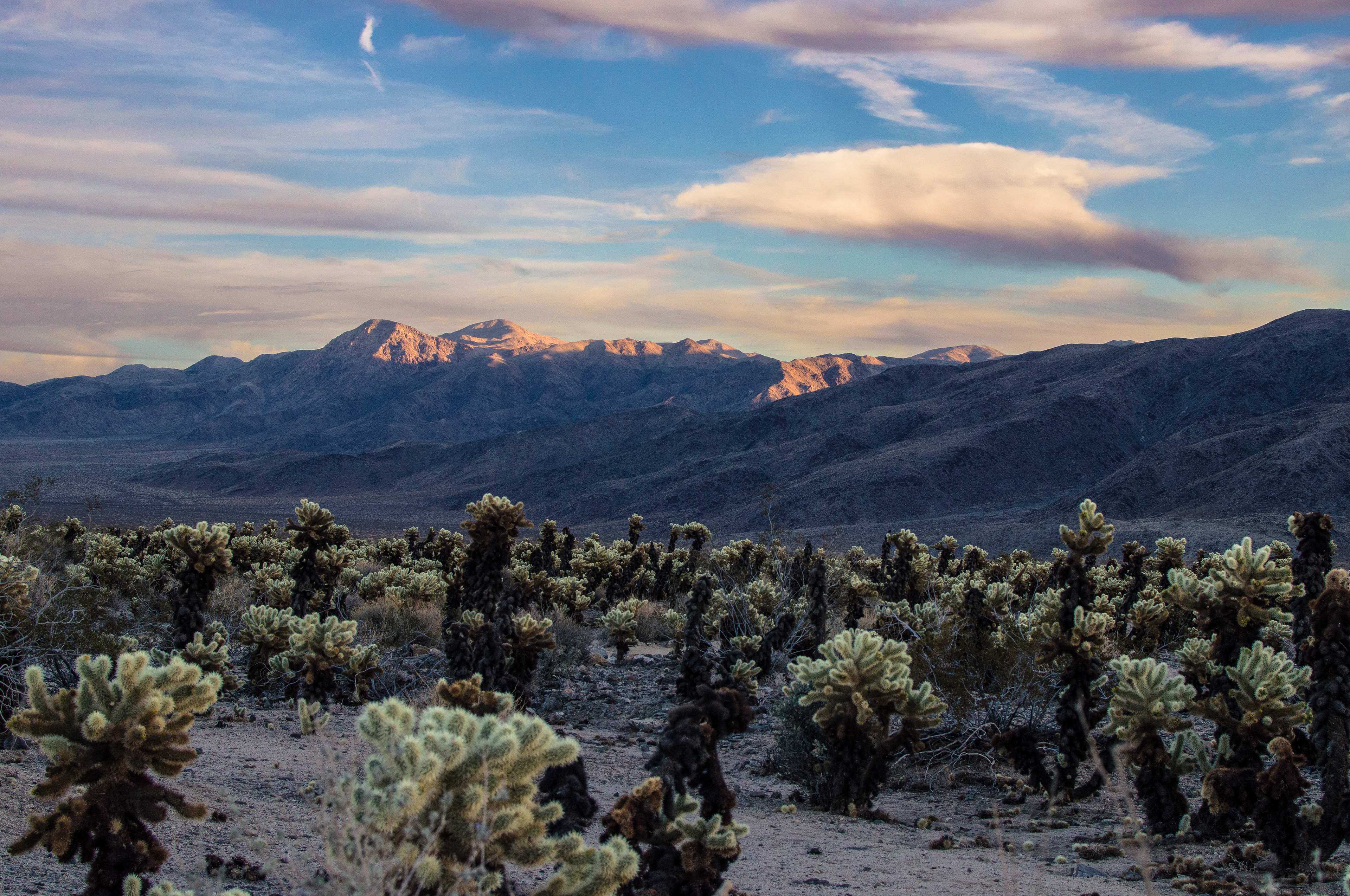 Jordan Yu - Landscapes