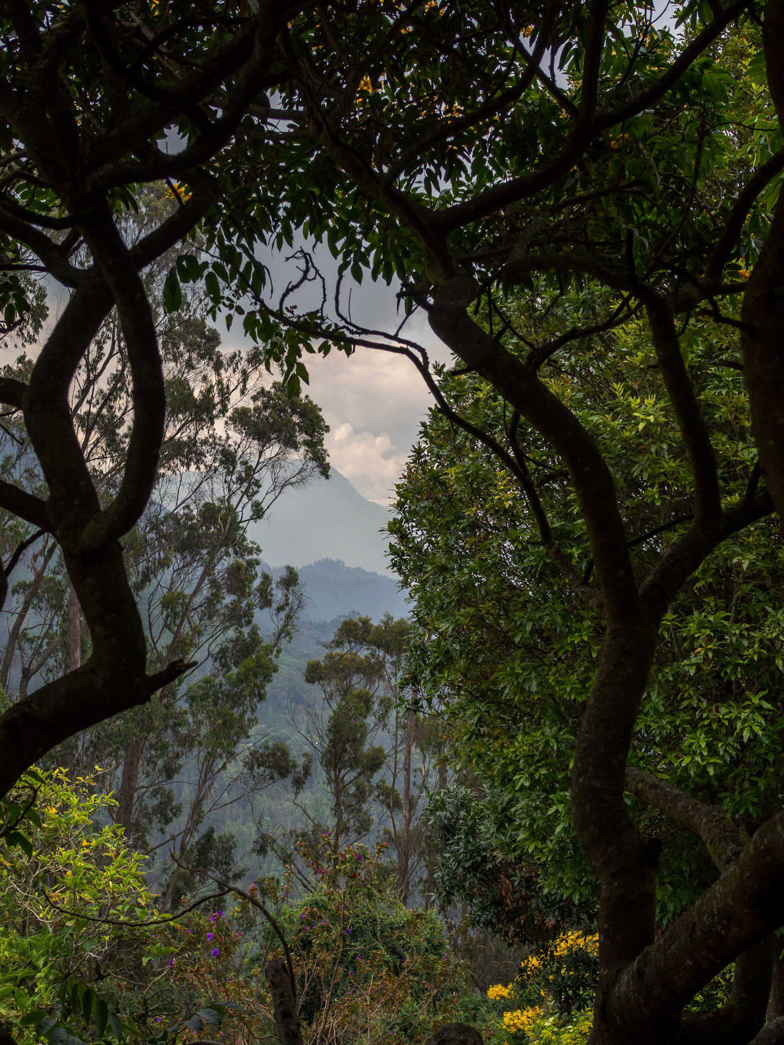 Stephan Pless – Portfolio - disarranged