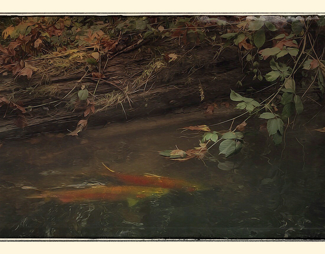 DAVID PERRY PHOTOGRAPHER