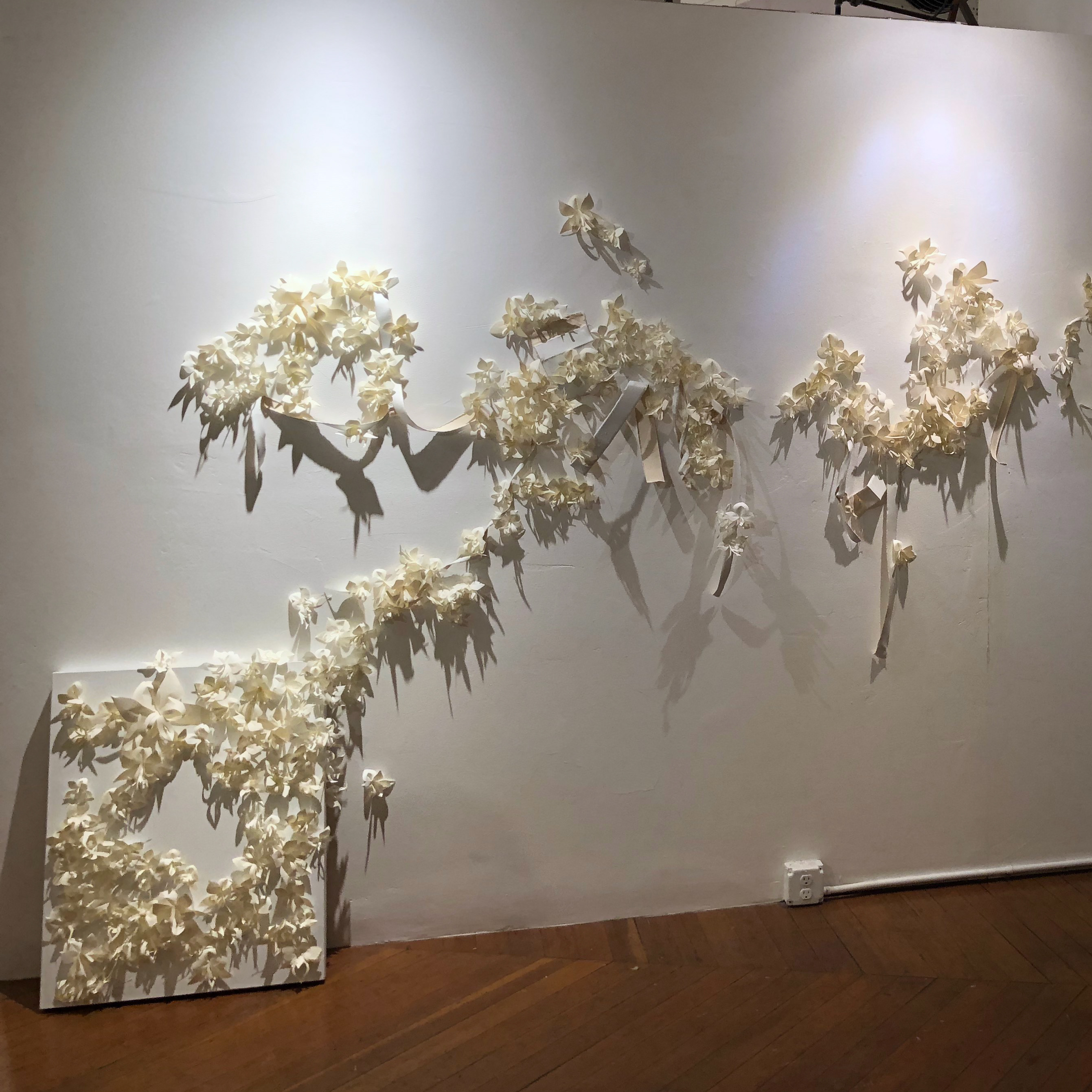 William Wang Studio