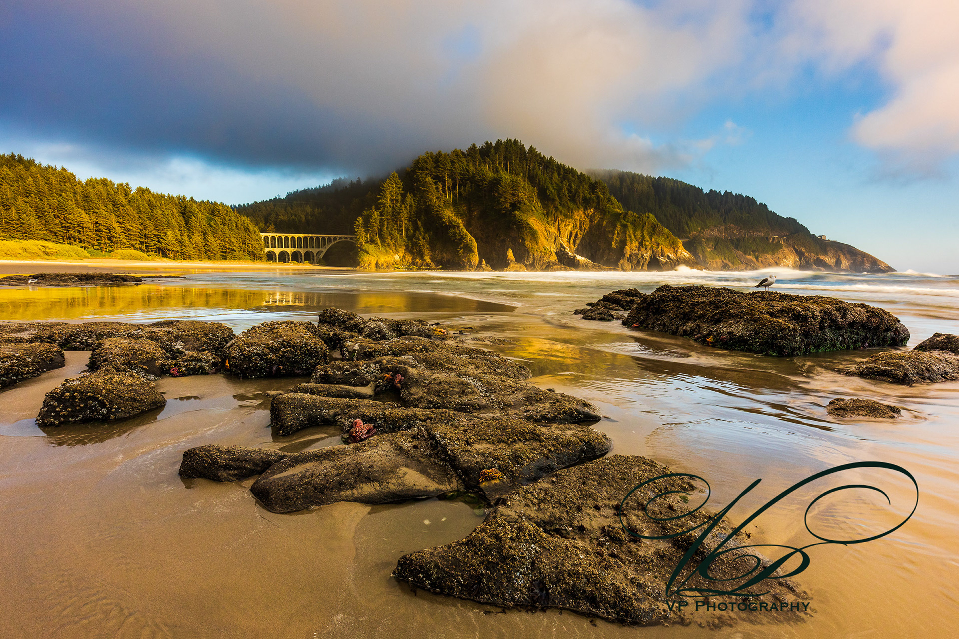 Vern Perryman Photography - Oregon Coast