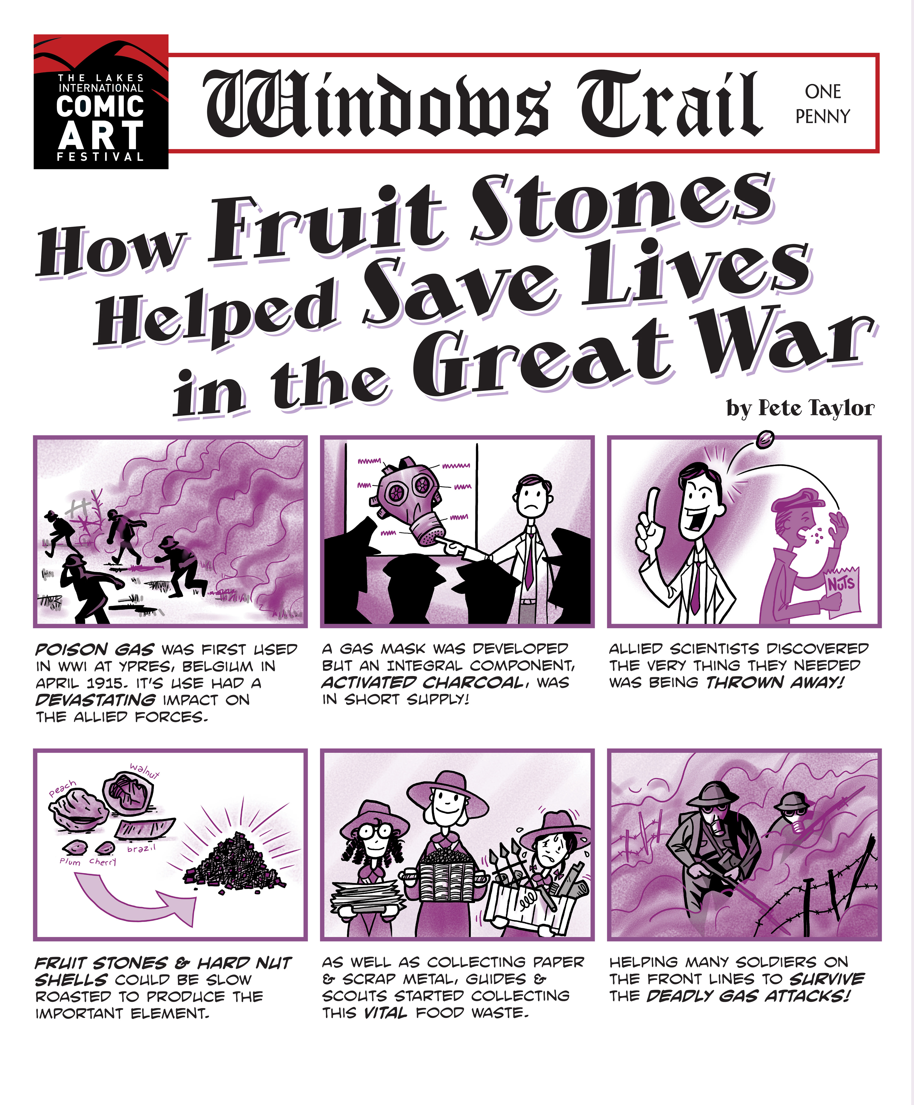 Pete Taylor - Non Fiction comics