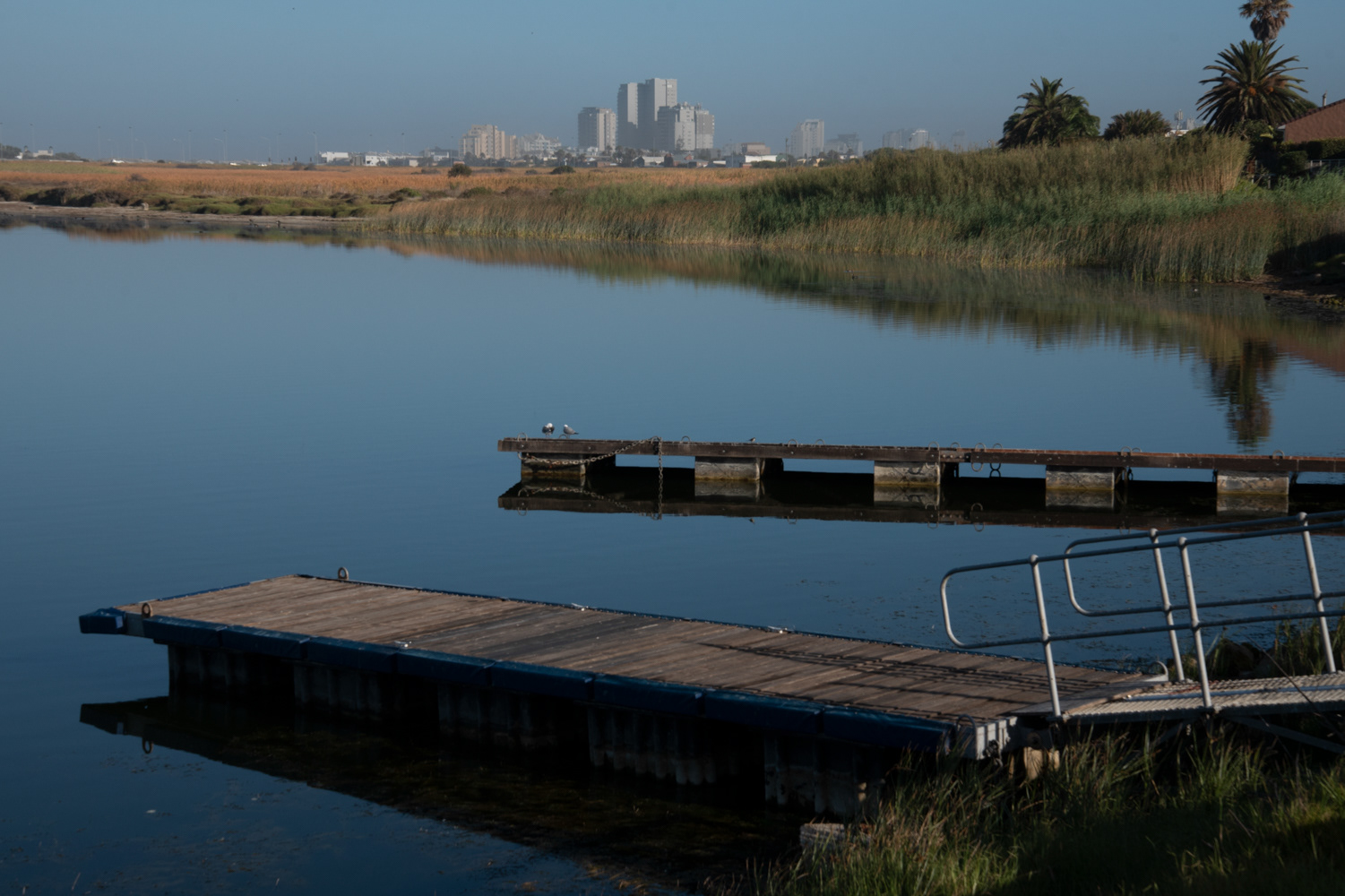 Paul Stander - This is Cape Town