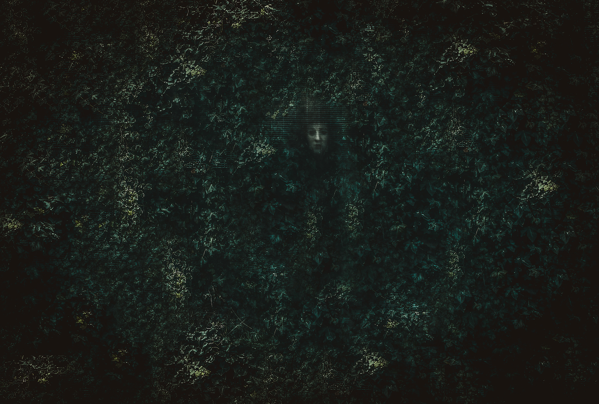 Eva Charkiewicz - Dark Room