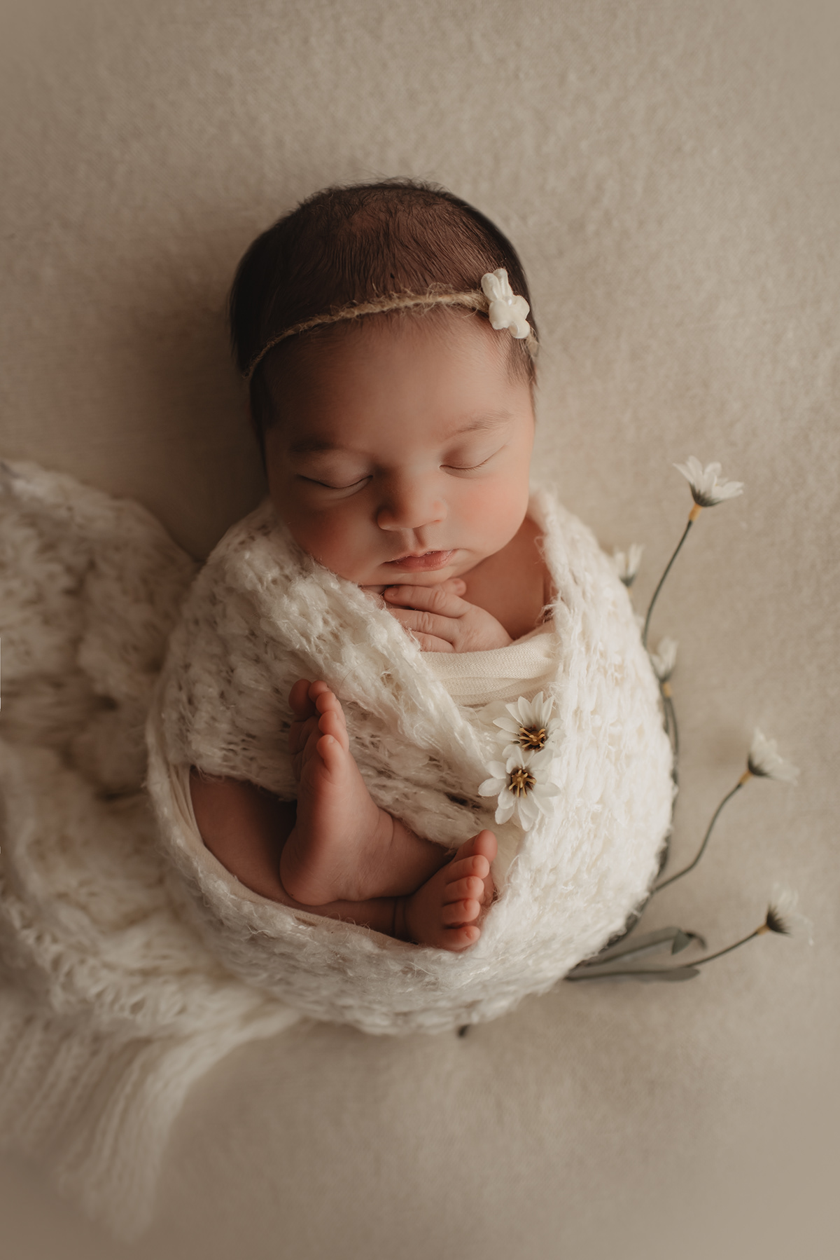 Two Peas in a Pod Photography - Newborns