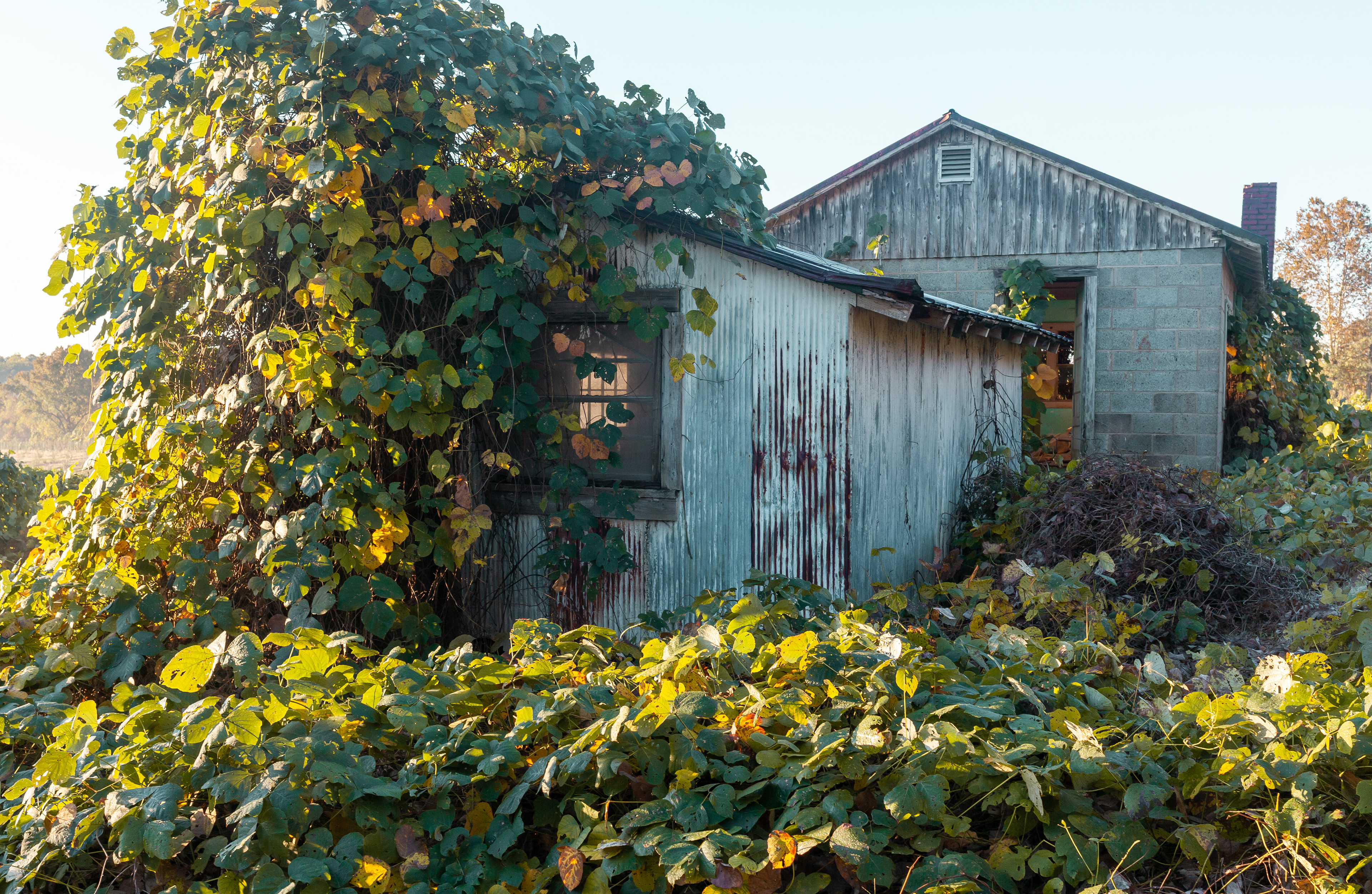 Annie Nicholson Graphic Design - Other Photos