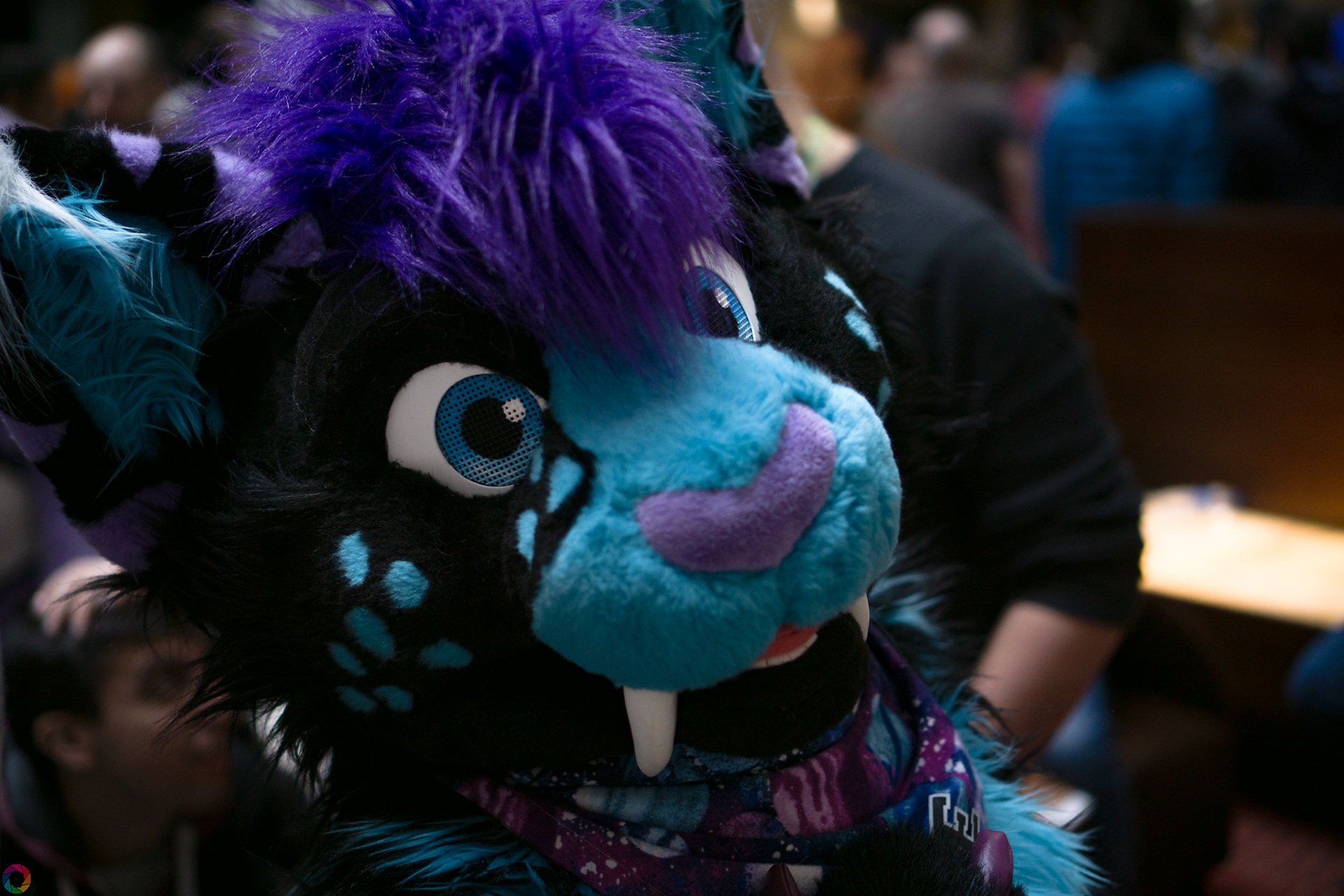 TJ Wagner - Midwest FurFest 2018