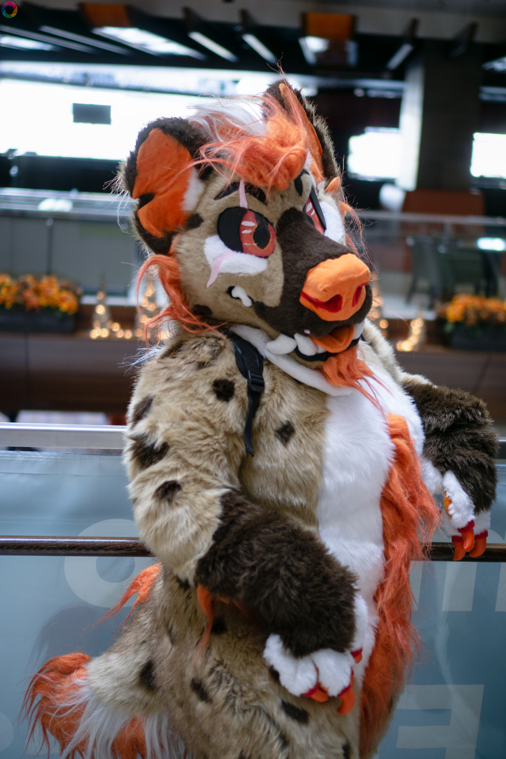 TJ Wagner - Midwest FurFest 2018