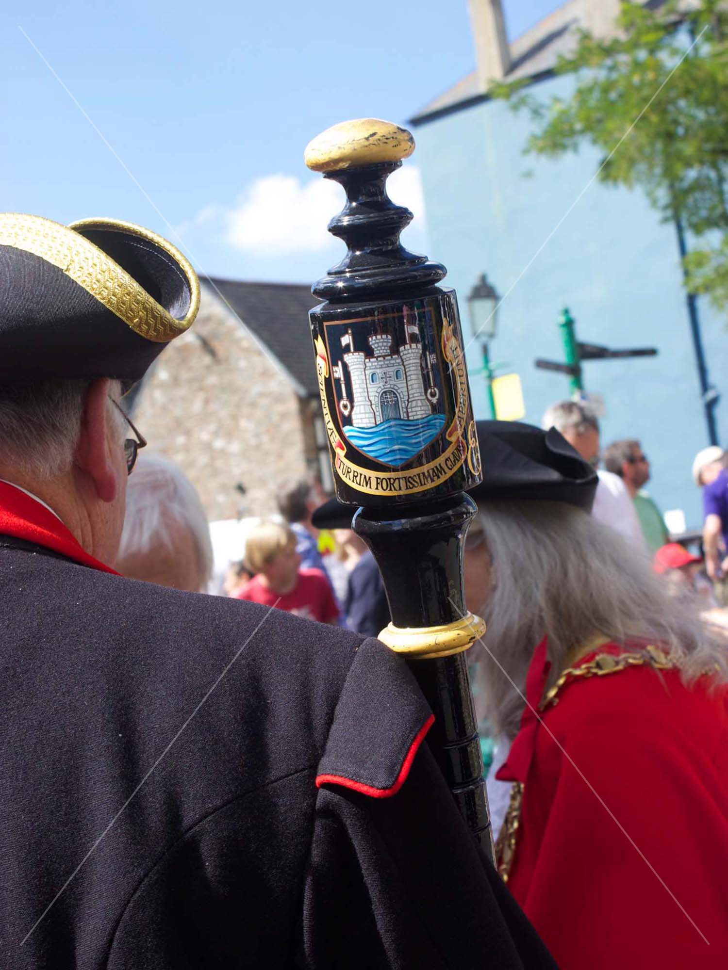 Photos of South Devon - Totnes logo crest